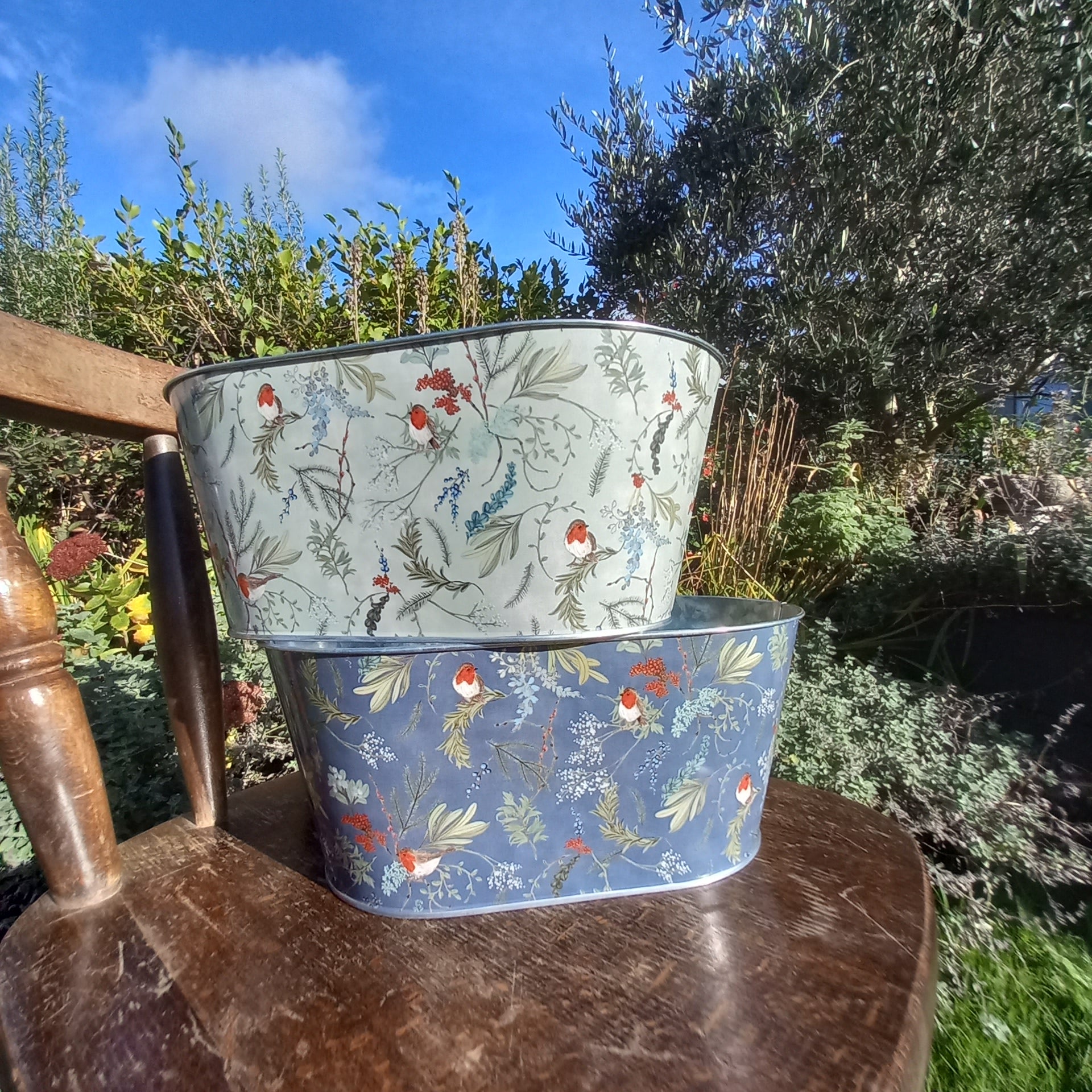 Tin Trough robin design – Park Farm Plants
